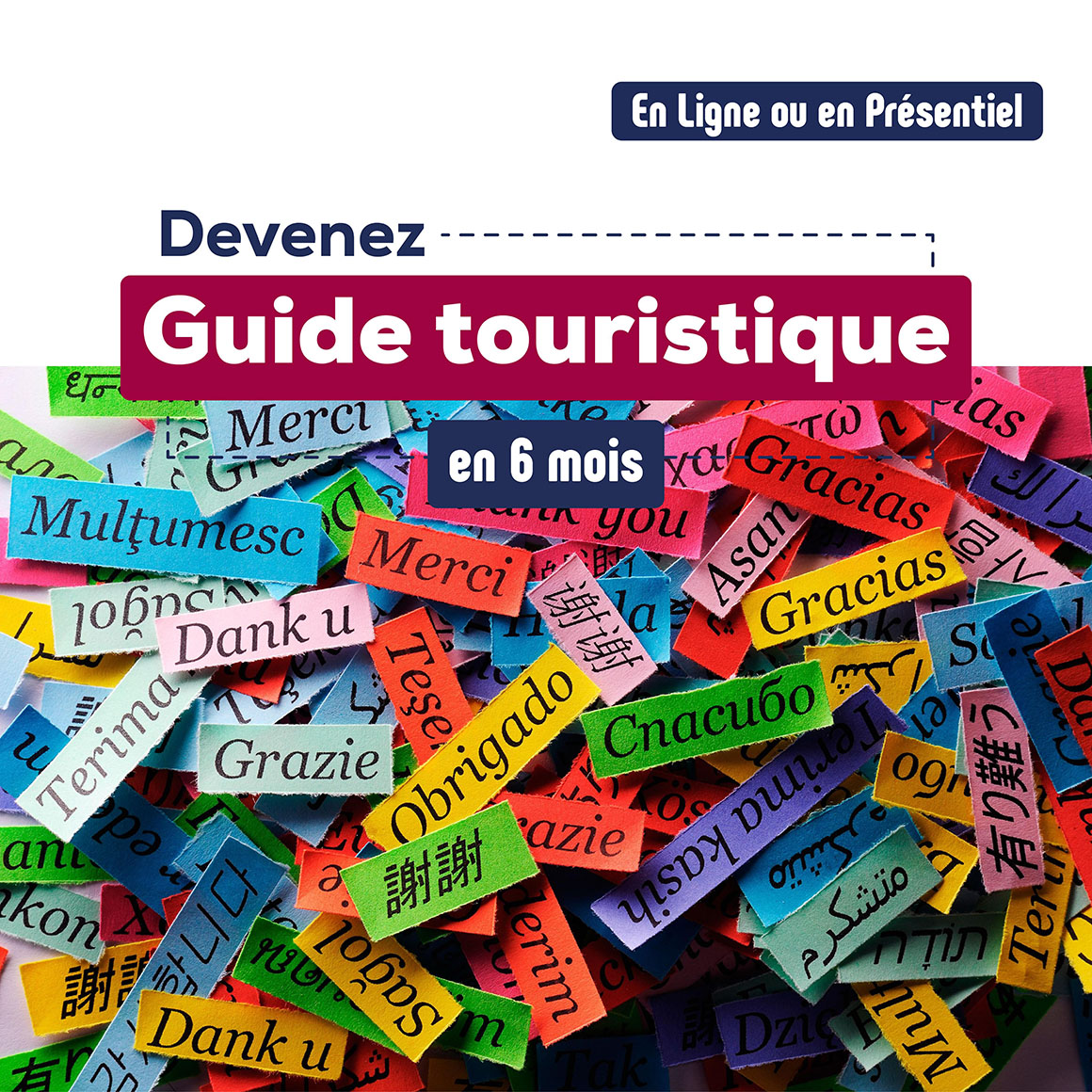 Guide touristique - THELMA | Ecole de Management & Certifications